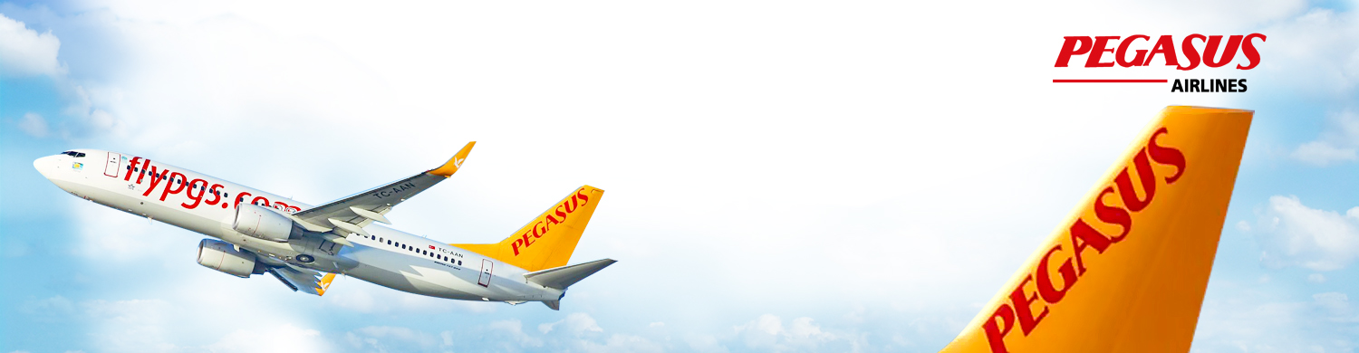 Pegasus Airlines Website