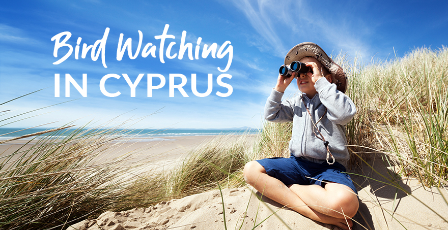 Bird watching in Northern Cyprus | CyprusParadise