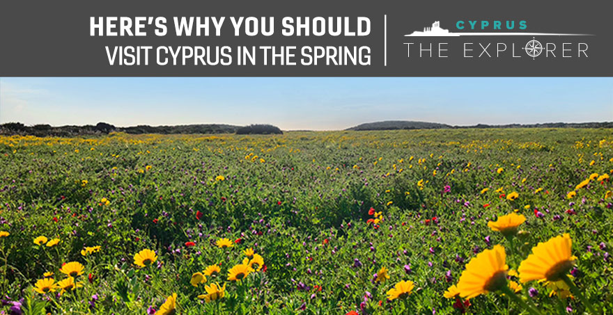 Here’s why you should visit Cyprus in the Spring