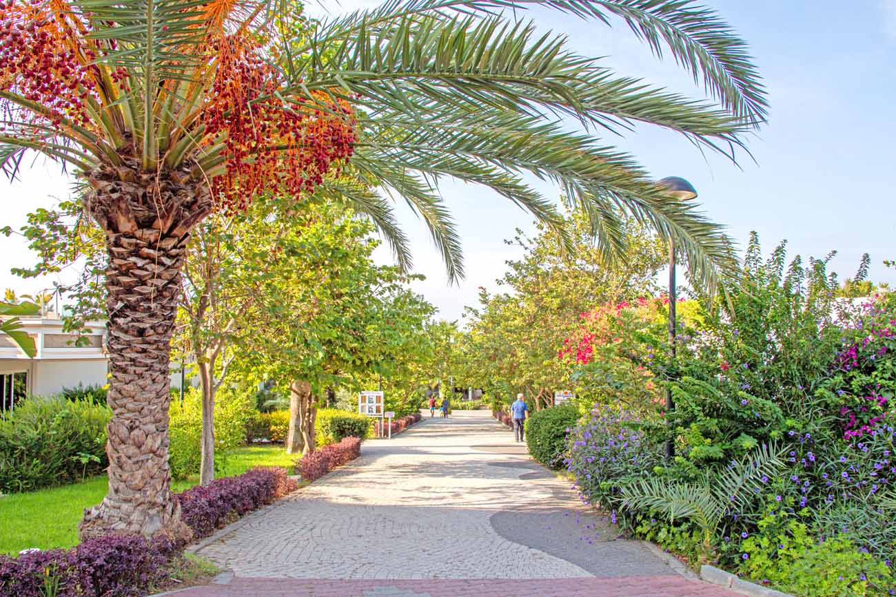 Acapulco Beach Hotel and Spa Resort, Kyrenia, North Cyprus